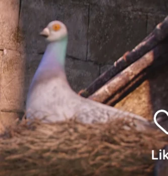 Pigeon | Illumination Wiki | Fandom