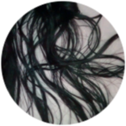 Lifetaker | Iltria Wiki | Fandom