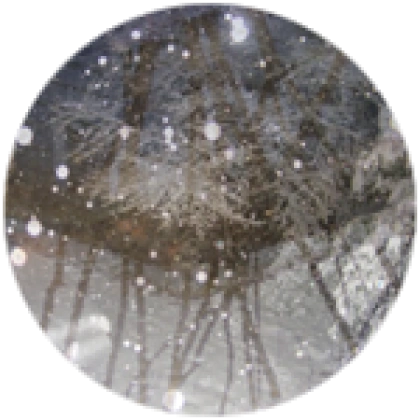 Memoria | Iltria Wiki | Fandom