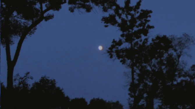 Iltria Wiki | Fandom