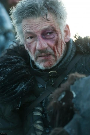 Qhorin | Il Trono di Spade Wiki | Fandom