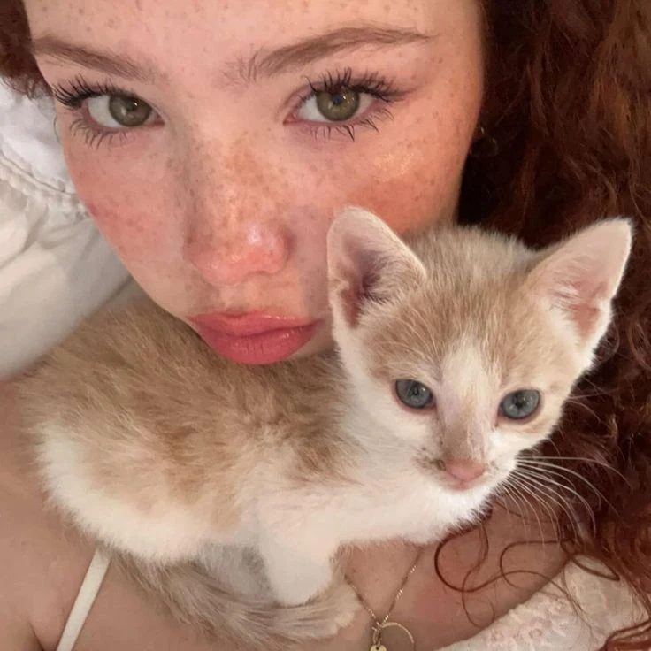 Charlotte Ward | Ilvermornyfanonau Wiki | Fandom