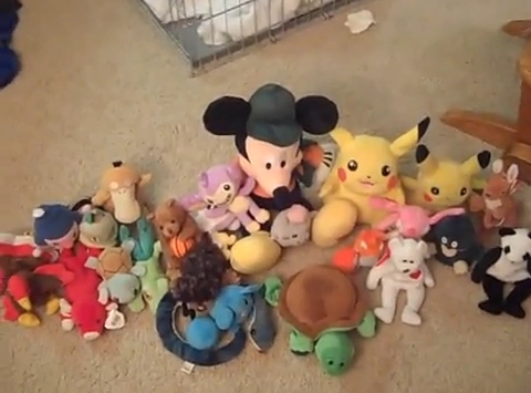 Total Stuffed Island | ILVG Productions Wiki | Fandom