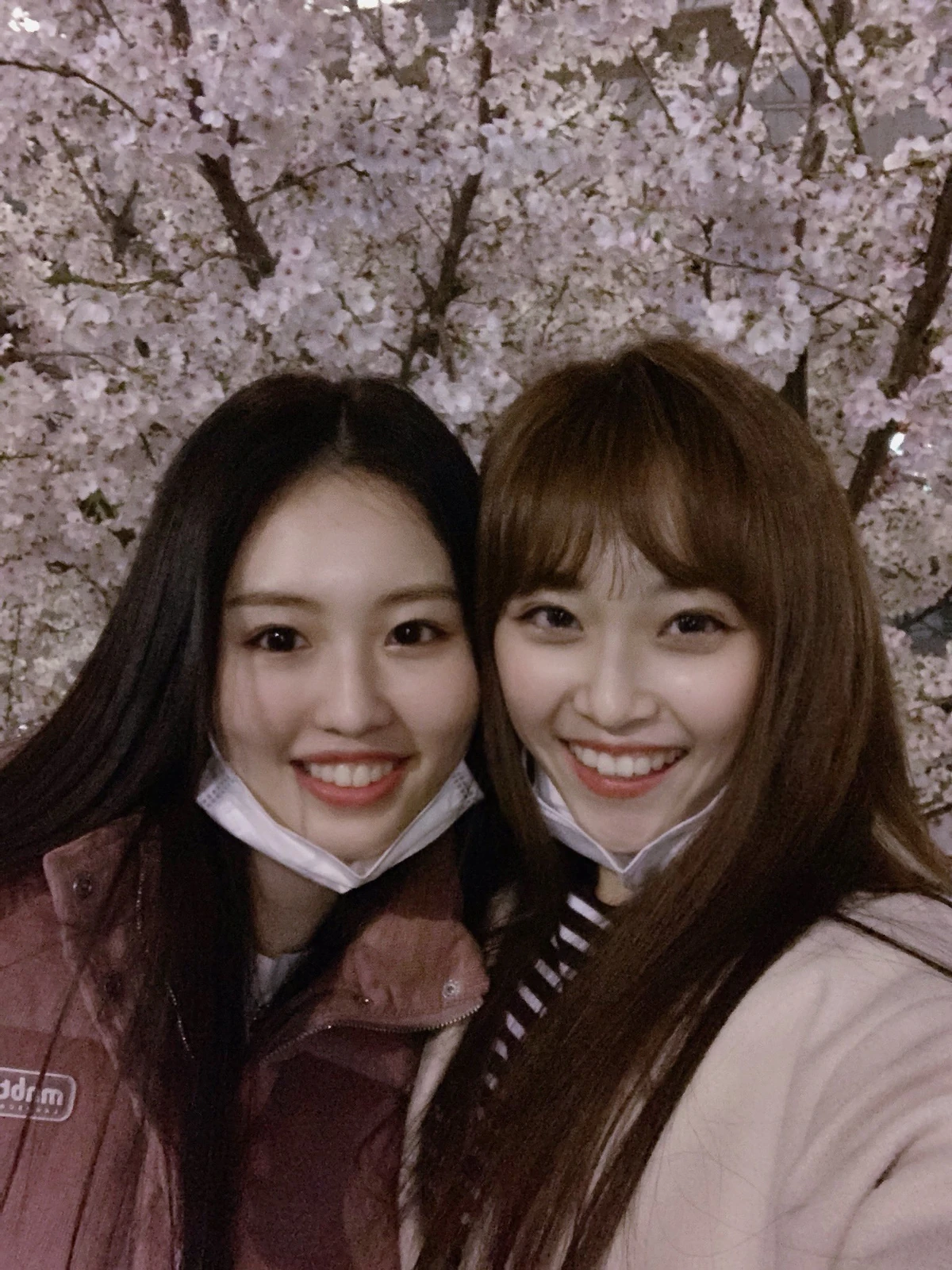 Bubuz | ILY:1 Wiki | Fandom