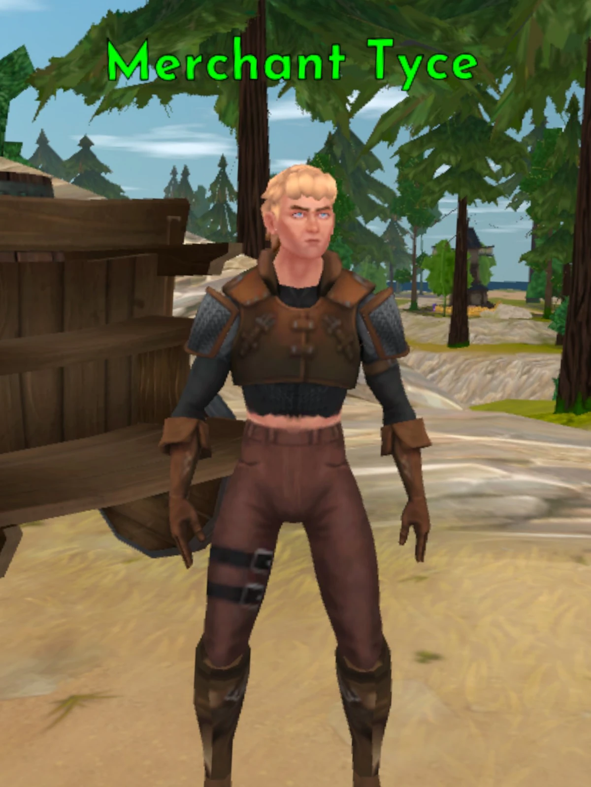 Merchant Tyce | Ilysia VR Wiki | Fandom