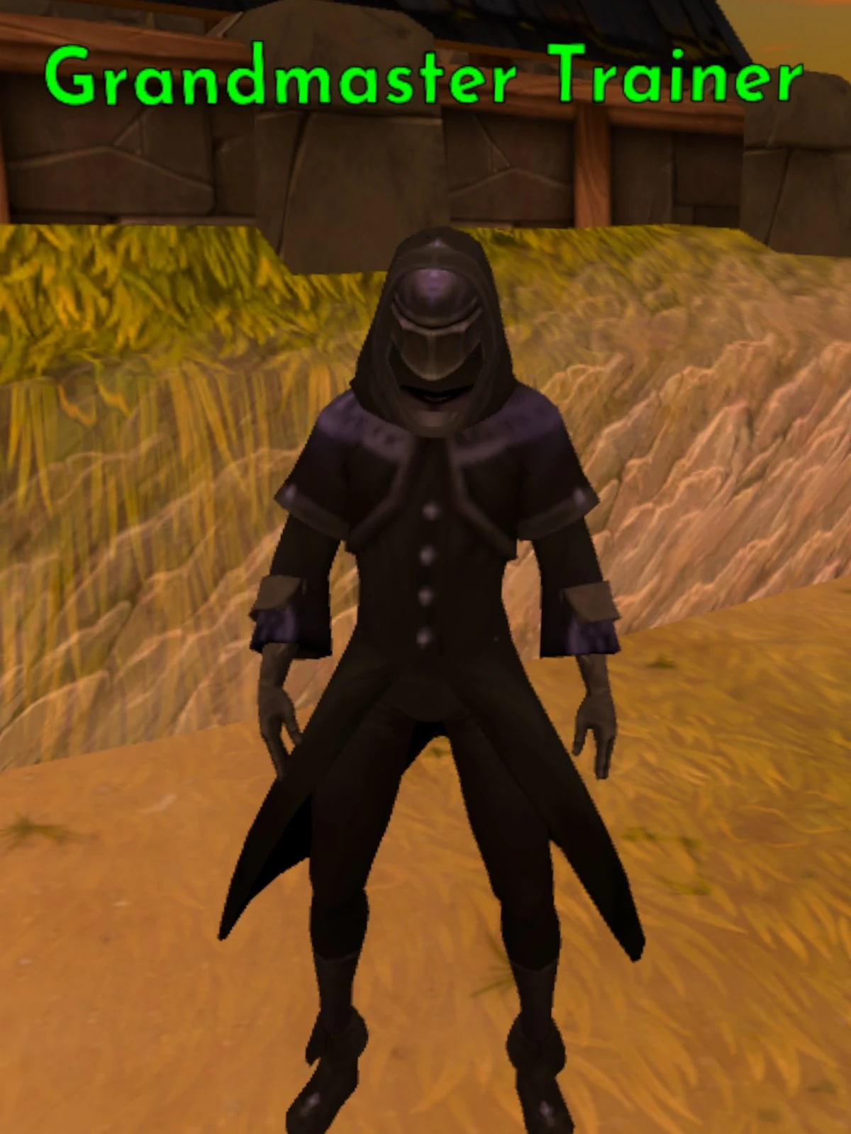 Grandmaster Trainer | Ilysia VR Wiki | Fandom