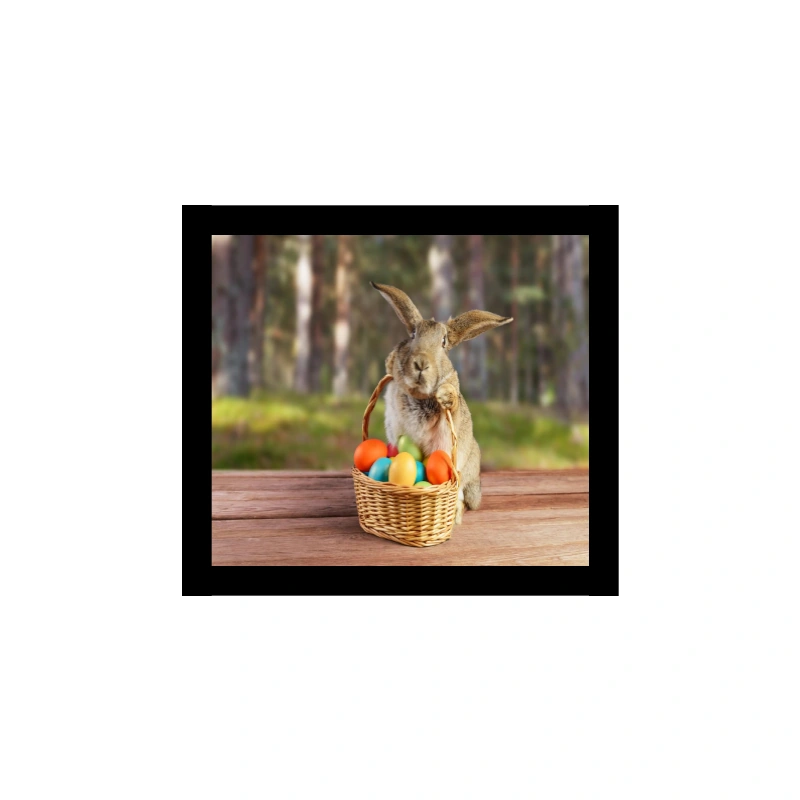 Easter Bunny | Image Pets and Numepocosu Sound Variations Wiki | Fandom