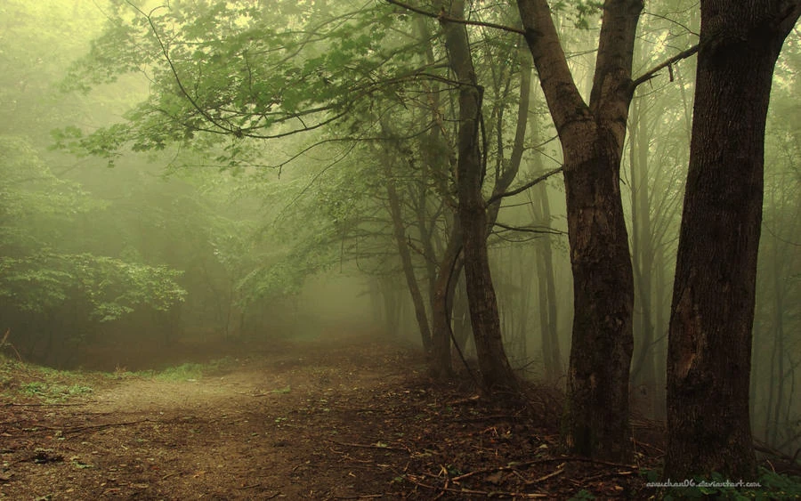 IMG dreaded forest | ImagePocalypse Wiki | Fandom