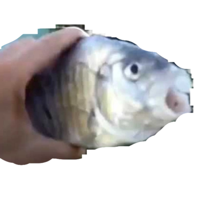 killer fish | ImagePocalypse Wiki | Fandom