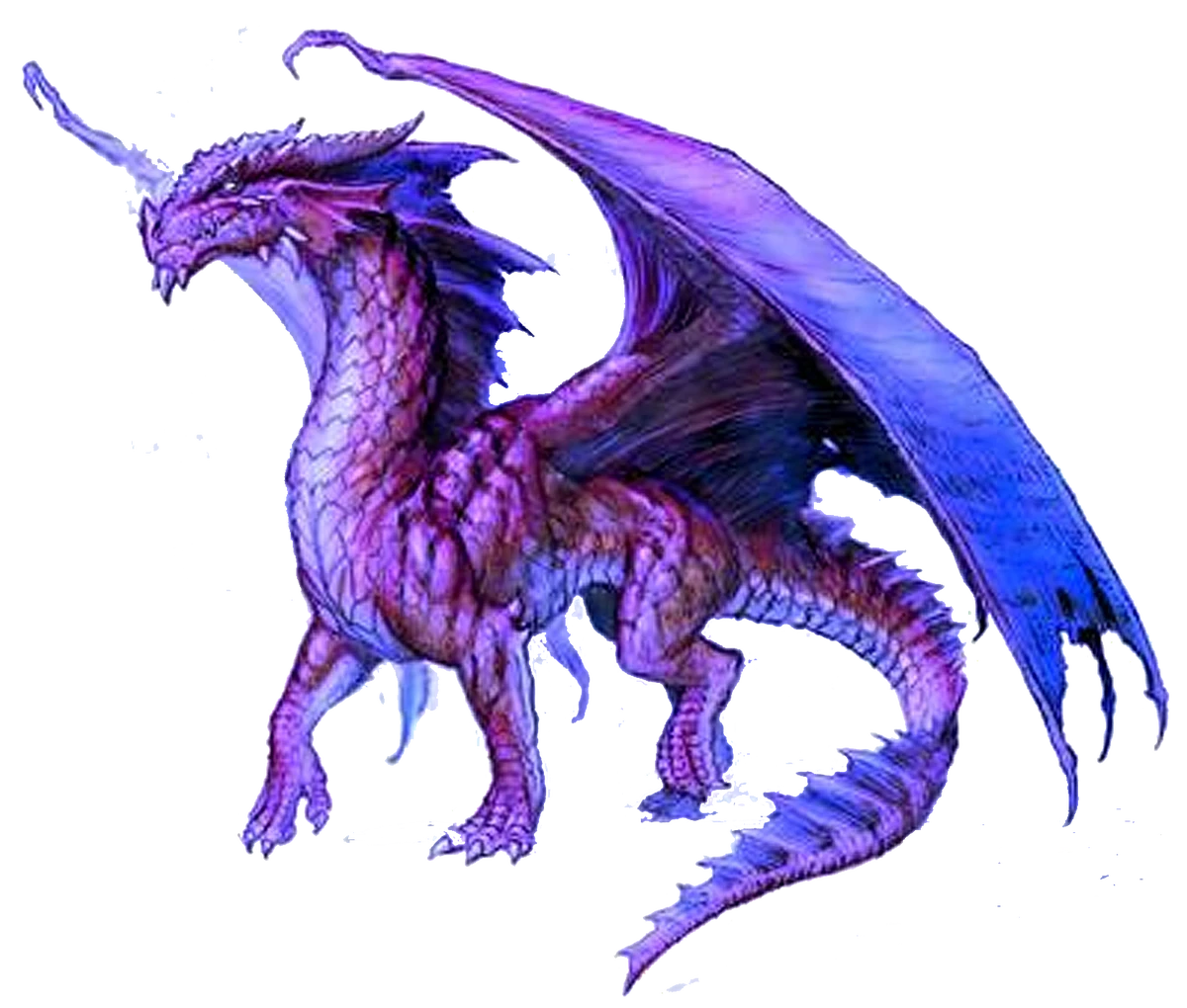 Purple dragon | Imaginaughts Wiki | Fandom
