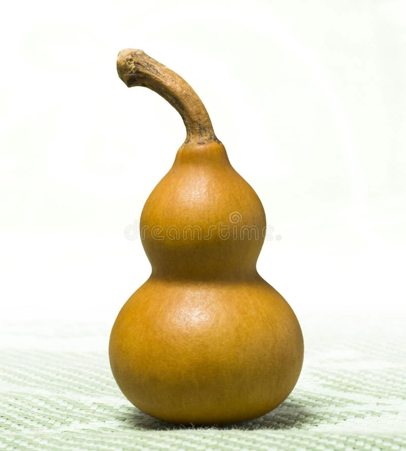 Gourd | Img dictionary Wiki | Fandom