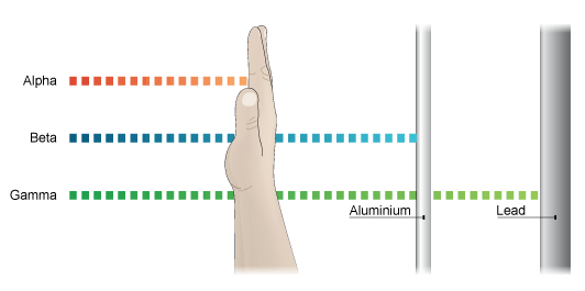 Absorption | Img dictionary Wiki | Fandom