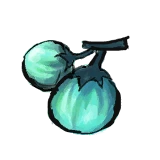 Anima Fruit | Immortal Life Wiki | Fandom