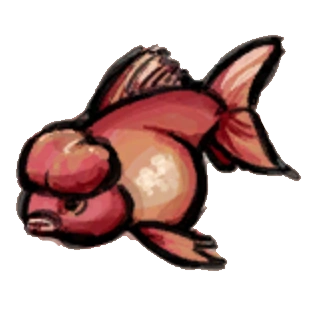 Red Lionhead Goldfish | Immortal Life Wiki | Fandom