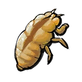 Cicada Slough | Immortal Life Wiki | Fandom