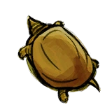 Golden Soft Shelled Turtle | Immortal Life Wiki | Fandom