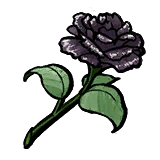 Black Rose | Immortal Life Wiki | Fandom