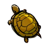 Golden Tortoise | Immortal Life Wiki | Fandom