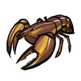 Yellow Crayfish | Immortal Life Wiki | Fandom