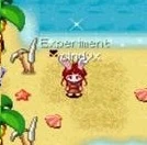 Bunny Rabbit | IMO: The World of Magic Wiki | Fandom