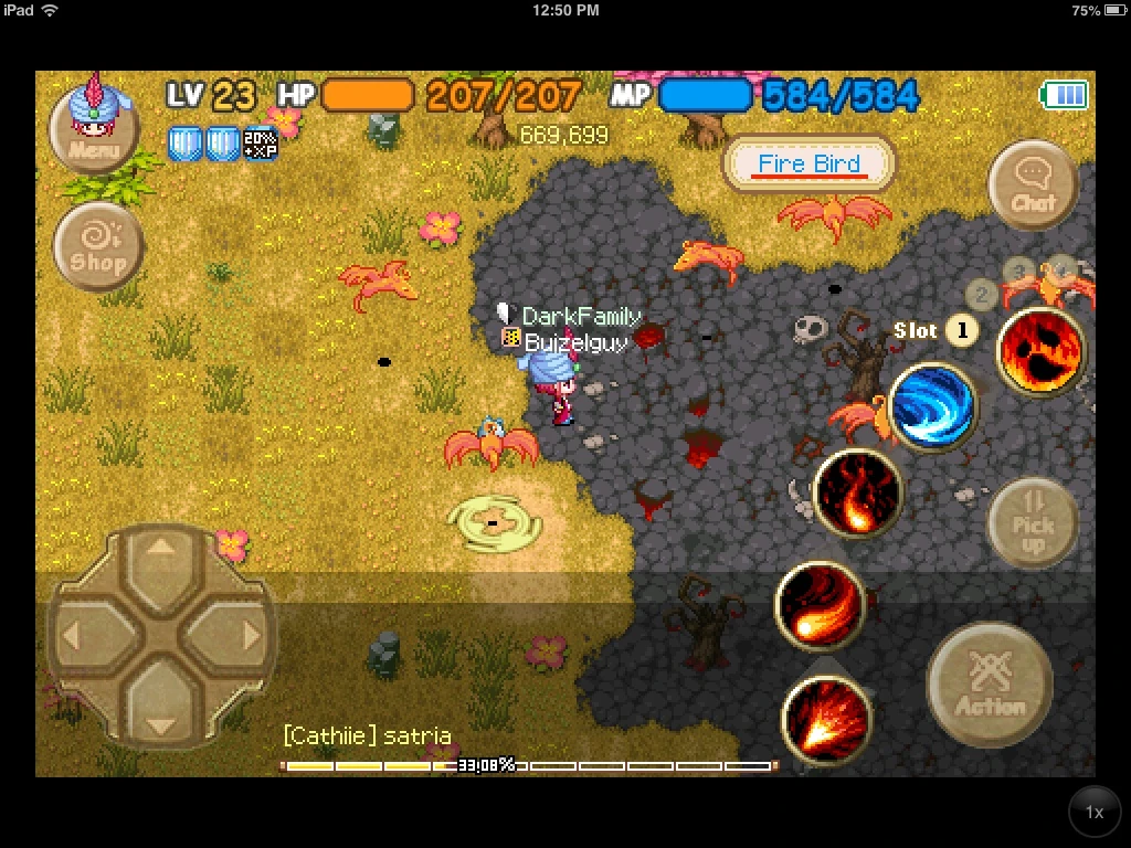 Fire Bird | IMO: The World of Magic Wiki | Fandom