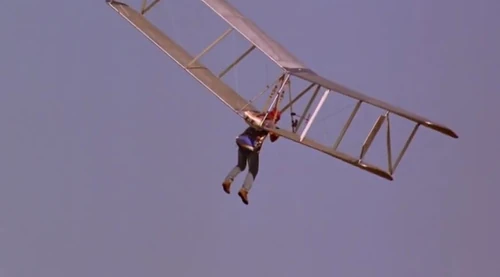 Fly Away Home | Internet Movie Plane Database Wiki | Fandom