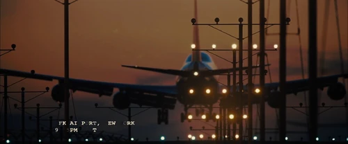 Survivor | Internet Movie Plane Database Wiki | Fandom