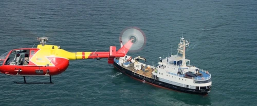 The Meg | Internet Movie Plane Database Wiki | Fandom