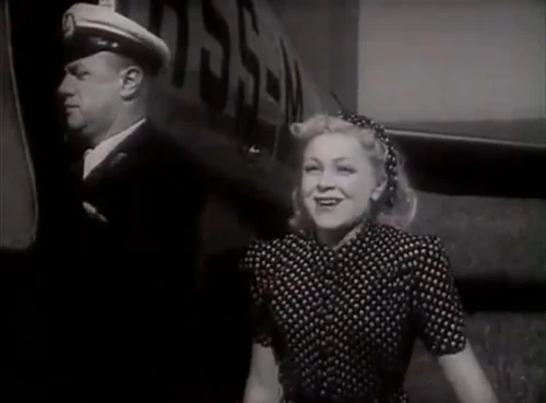 Vozdushnyy izvozchik | Internet Movie Plane Database Wiki | Fandom