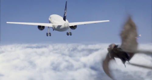 Hotel Transylvania | Internet Movie Plane Database Wiki | Fandom