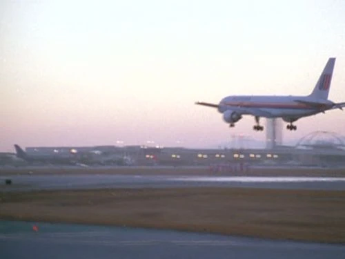 Six Feet Under | Internet Movie Plane Database Wiki | Fandom