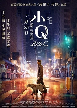 Xiao Q | Internet Movie Plane Database Wiki | Fandom