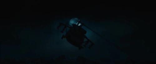 Survivor | Internet Movie Plane Database Wiki | Fandom