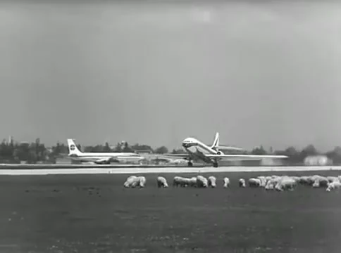 John Klings Abenteuer | Internet Movie Plane Database Wiki | Fandom