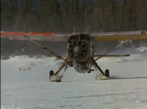 Never Cry Wolf | Internet Movie Plane Database Wiki | Fandom