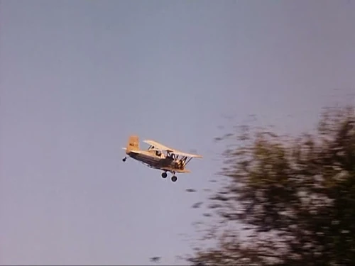 Frankie Starlight | Internet Movie Plane Database Wiki | Fandom