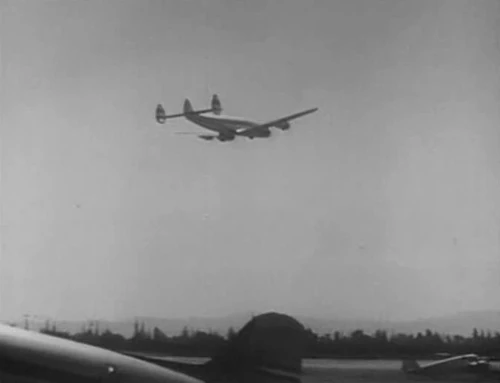 Born to Be Bad (1950) | Internet Movie Plane Database Wiki | Fandom