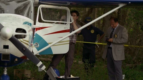 The Glades | Internet Movie Plane Database Wiki | Fandom