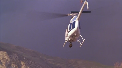 Cobra | Internet Movie Plane Database Wiki | Fandom