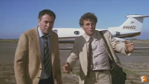 The In-Laws | Internet Movie Plane Database Wiki | Fandom