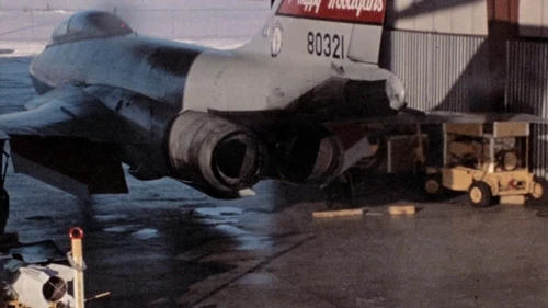 The Bees | Internet Movie Plane Database Wiki | Fandom