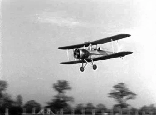 Dandy Dick | Internet Movie Plane Database Wiki | Fandom