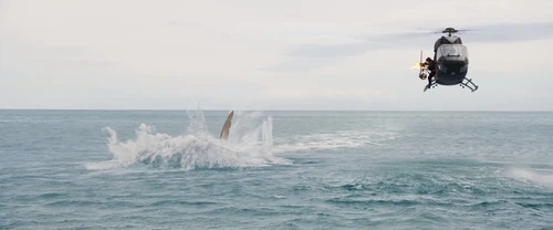 The Meg | Internet Movie Plane Database Wiki | Fandom