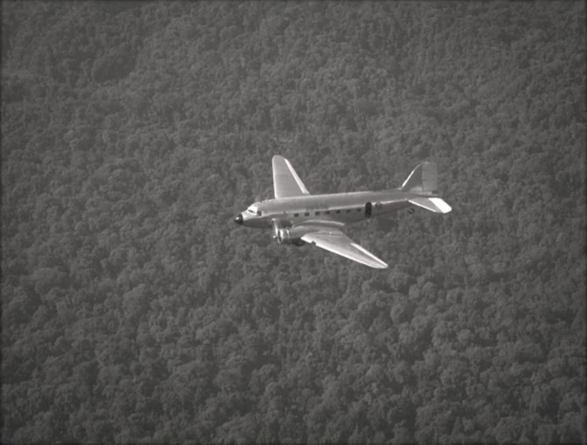 Paddington | Internet Movie Plane Database Wiki | Fandom