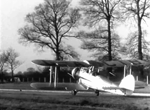 Dandy Dick | Internet Movie Plane Database Wiki | Fandom