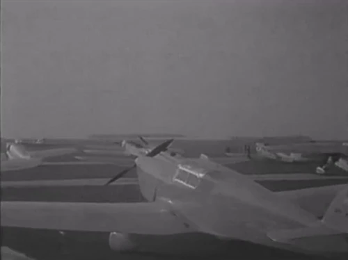 Alexis gentleman chauffeur | Internet Movie Plane Database Wiki | Fandom