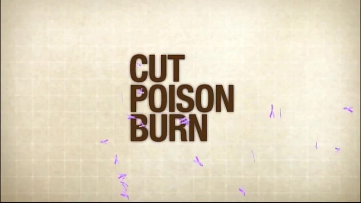 Cut Poison Burn | Internet Movie Plane Database Wiki | Fandom