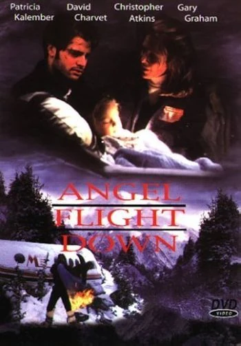 Angel Flight Down | Internet Movie Plane Database Wiki | Fandom
