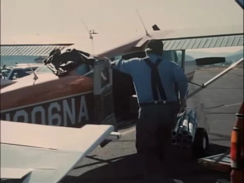 A Cry in the Wild | Internet Movie Plane Database Wiki | Fandom