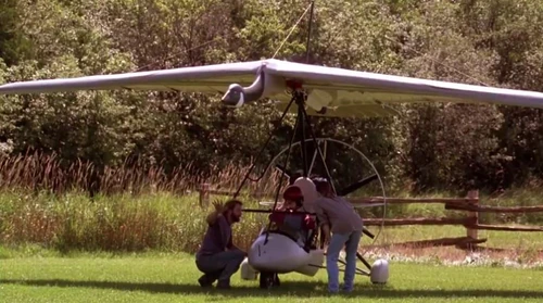 Fly Away Home | Internet Movie Plane Database Wiki | Fandom